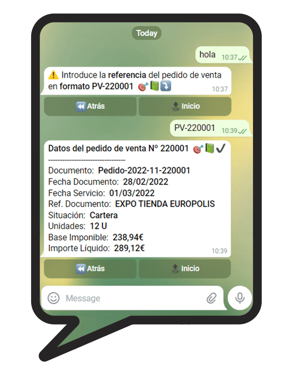Daemon4 Bot | Accede a los datos de ERP desde Telegram